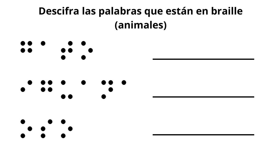 Descifra las palabras que están en braille (animales) | Educación ...