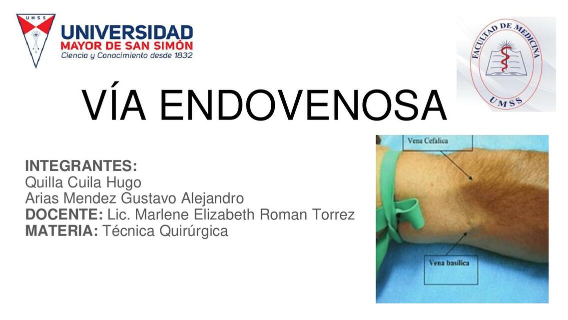 Vía Endovenosa | ARACELI LUZ ESCOBAR CHOQUE | uDocz