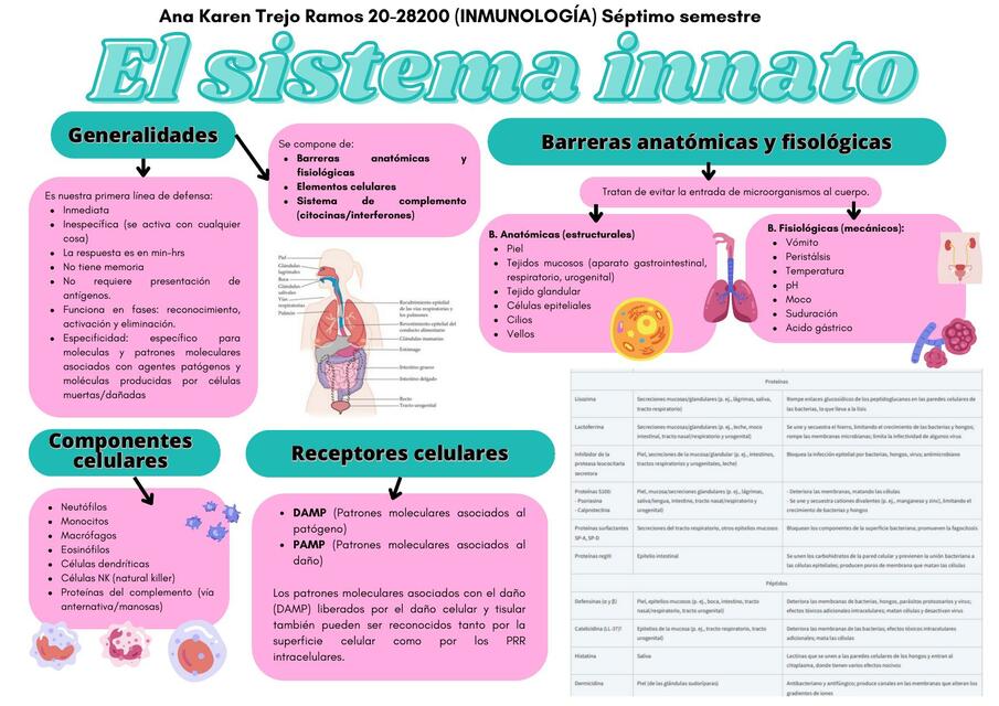 El Sistema Innato | Ana Karen Trejo | uDocz