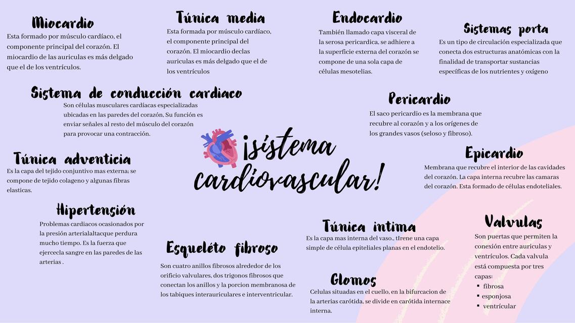 Sistema Cardiovascular | Yuli Absalon | uDocz