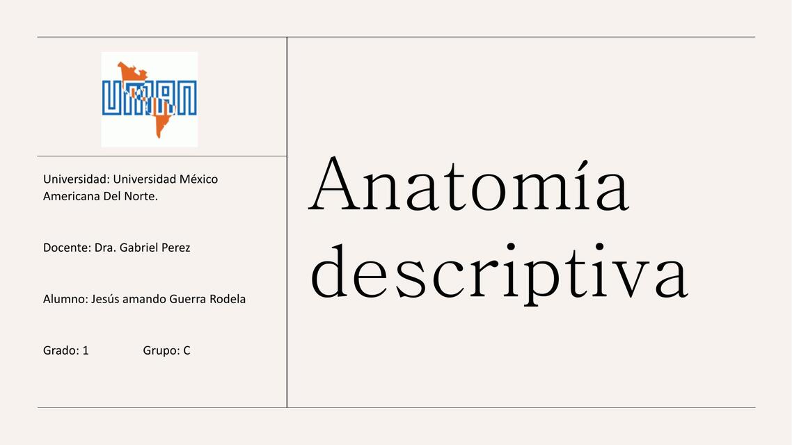 Anatomía descriptiva | Juan jose Clemente | uDocz