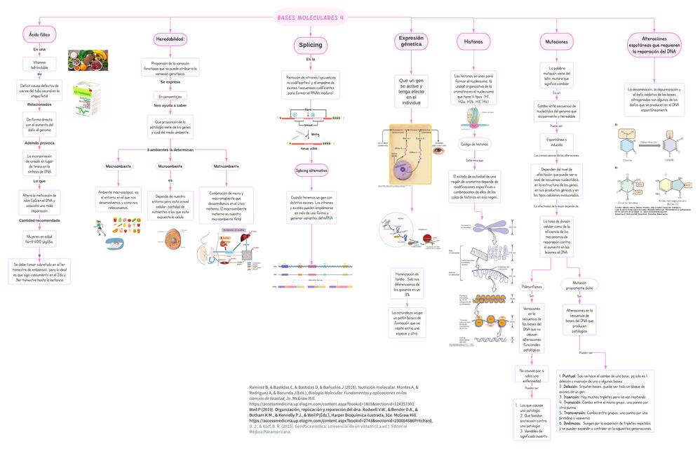 Bases moleculares | Mar.Med | uDocz