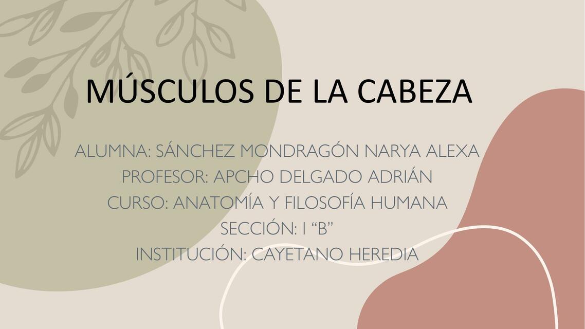 Músculos de la cabeza | Alexa Mondragon | uDocz