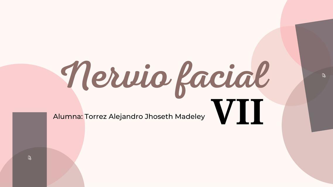 Nervio facial | Jhoseth madeley Torrez | uDocz