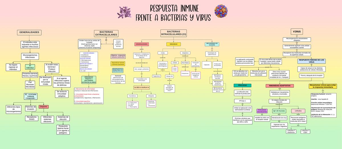 Respuesta inmune frente a bacterias y virus | Michel Saldaña Flores | uDocz