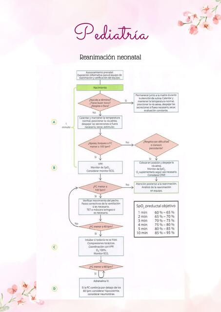 Reanimación Neonatal | Marifer Nava | uDocz