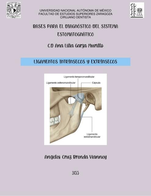 Ligamentos intrínsecos y extrínsecos | Brenda Angeles | uDocz