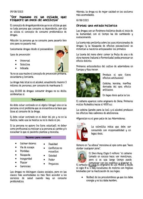 El Ser Humano y el Consumo de Drogas | Fer