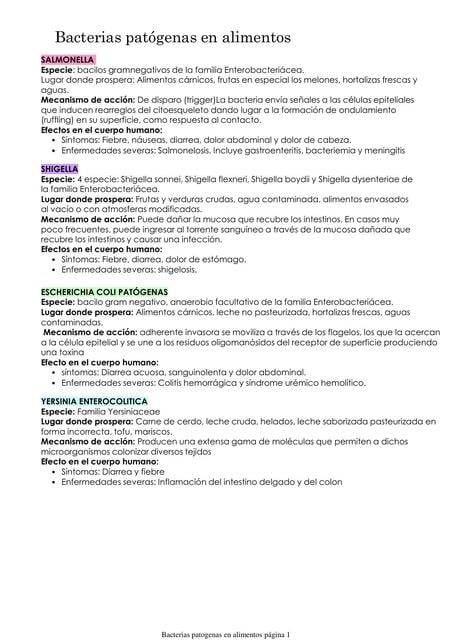 Bacterias Patógenas en Alimentos | Yoana | uDocz