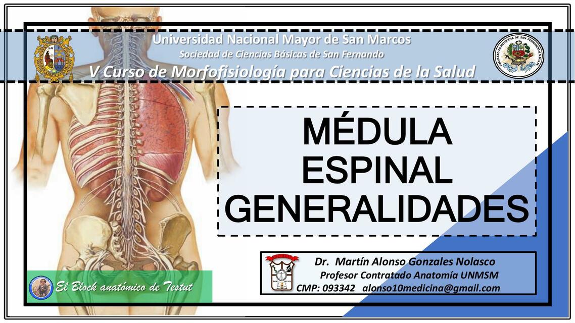 Médula Espinal | uDocz