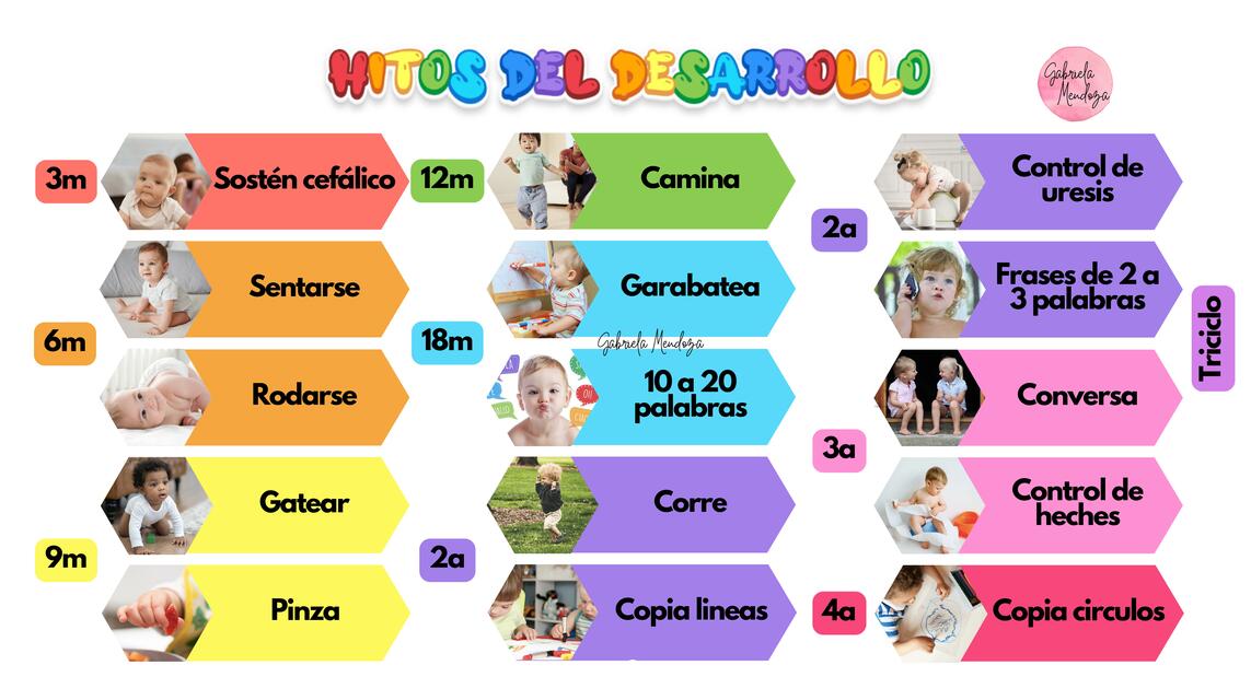 Hitos del desarrollo | Gaby Mendoza | uDocz