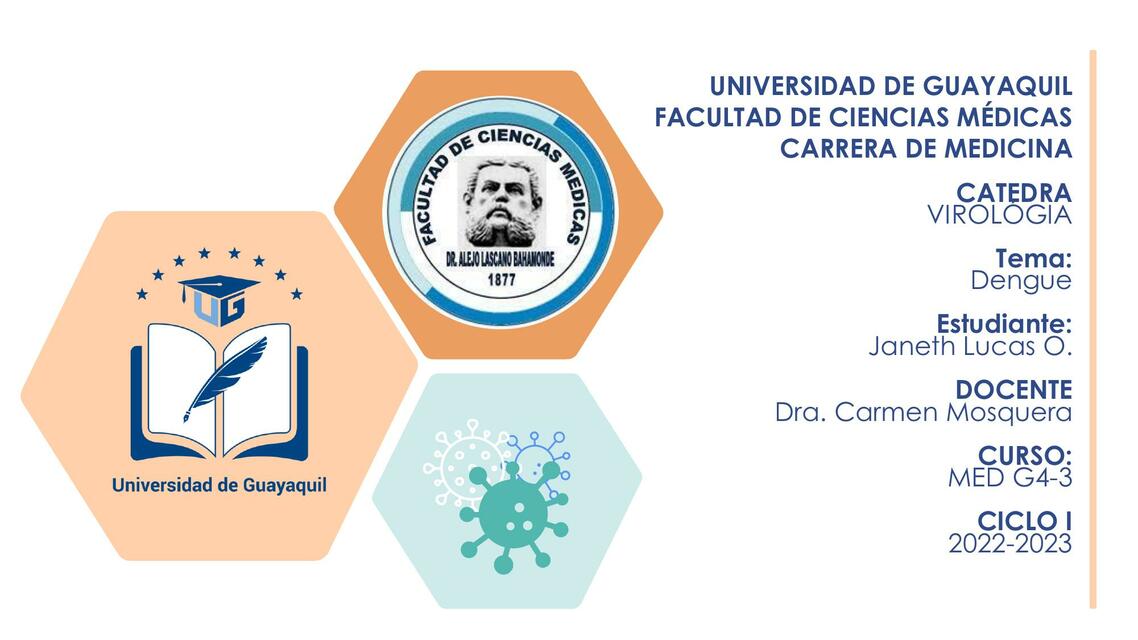 Dengue | Janeth Lucas | uDocz