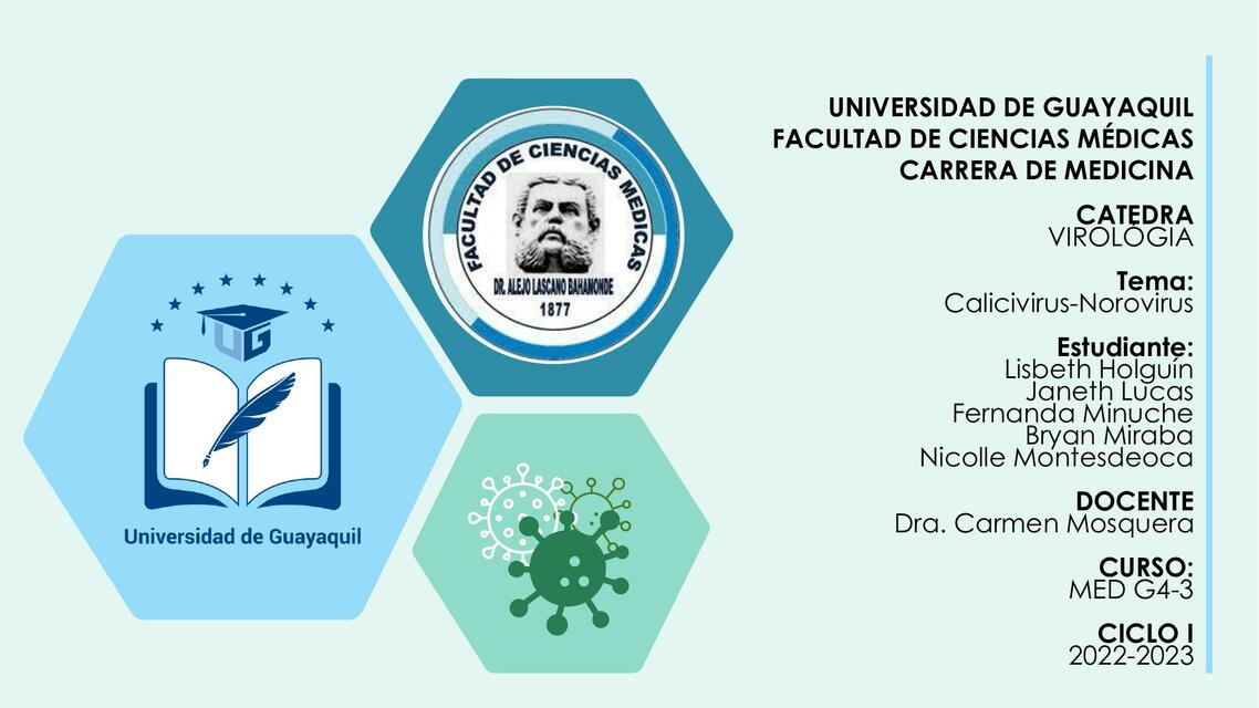 Calicivuris | Janeth Lucas | uDocz