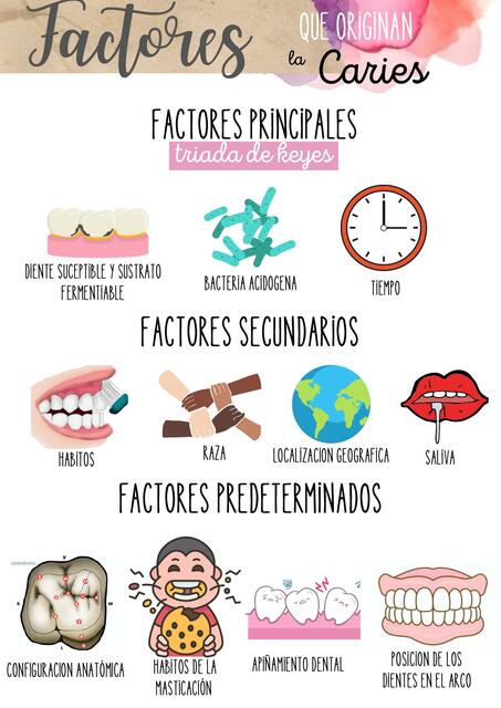 Factores que Originan la Caries | El palacio de los dientes 🦷 | uDocz