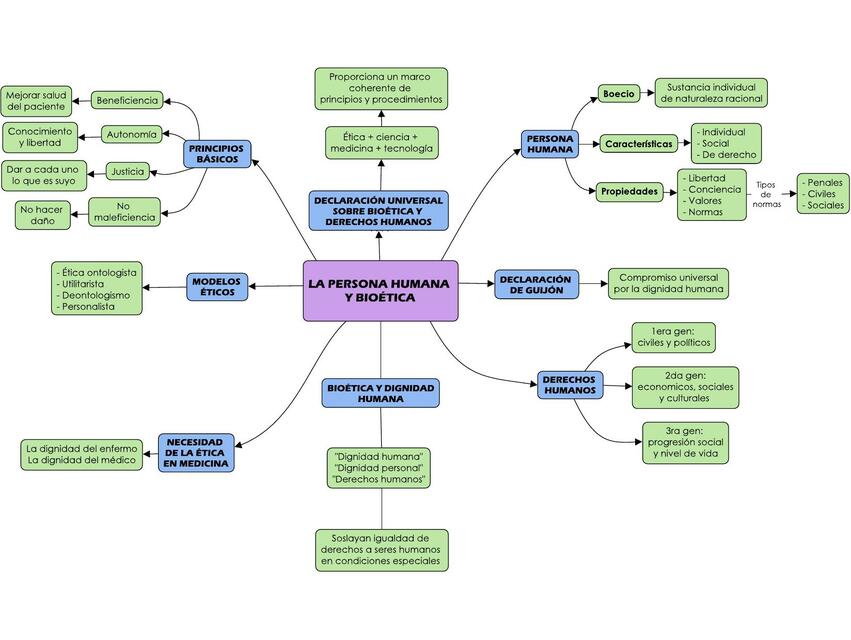 Mapa de persona humana | BRIGITTE VILLANUEVA | uDocz