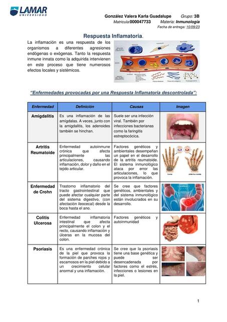 RespInflamatoria Inmuno Reparado | Karla Valera | uDocz