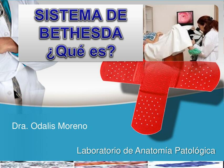 🧫SISTEMA DE BETHESDA - ¿Que es?🧫 - Anatomía Patológica | Dra Odalis ...
