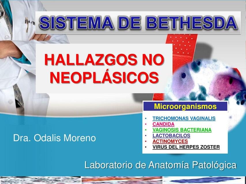 🧫SISTEMA DE BETHESDA: Hallazgos no neoplásicos 🧫 - Anatomía Patológica ...