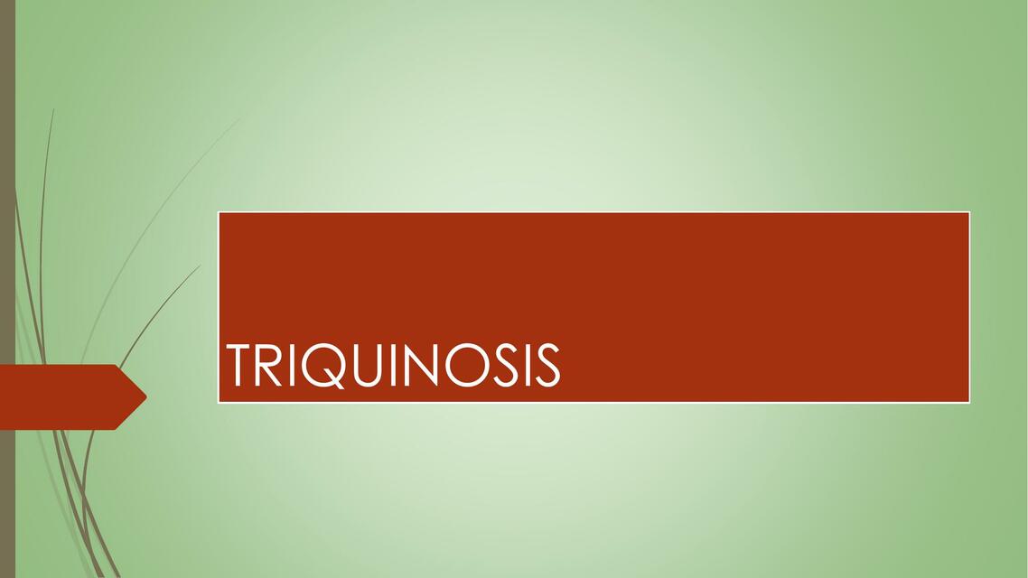Triquinosis | Lupita | uDocz