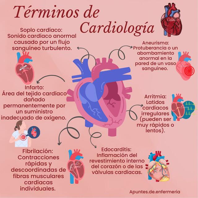 Términos de cardiología | Apuntes.de.enfermeria | uDocz