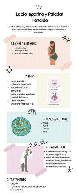 Infografía labio leporino y paladar hendido | VALENTINA LOPEZ | uDocz
