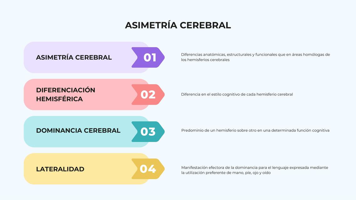 Asimetría cerebral | Claudia Quispe | uDocz