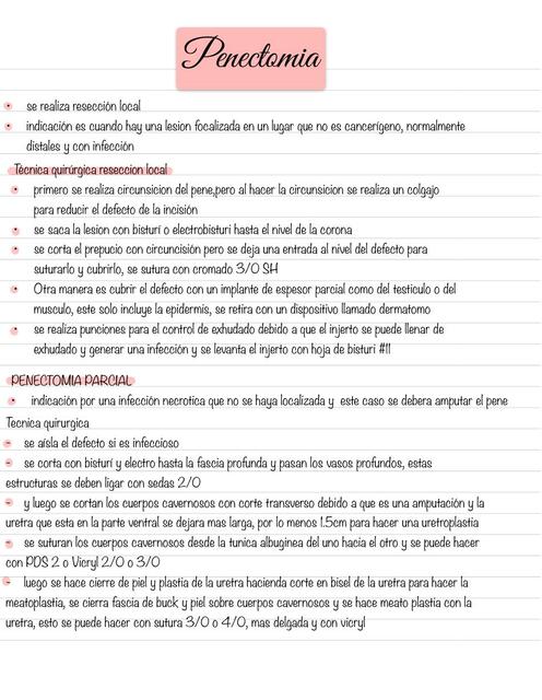 Penectomía | laurav98o | uDocz