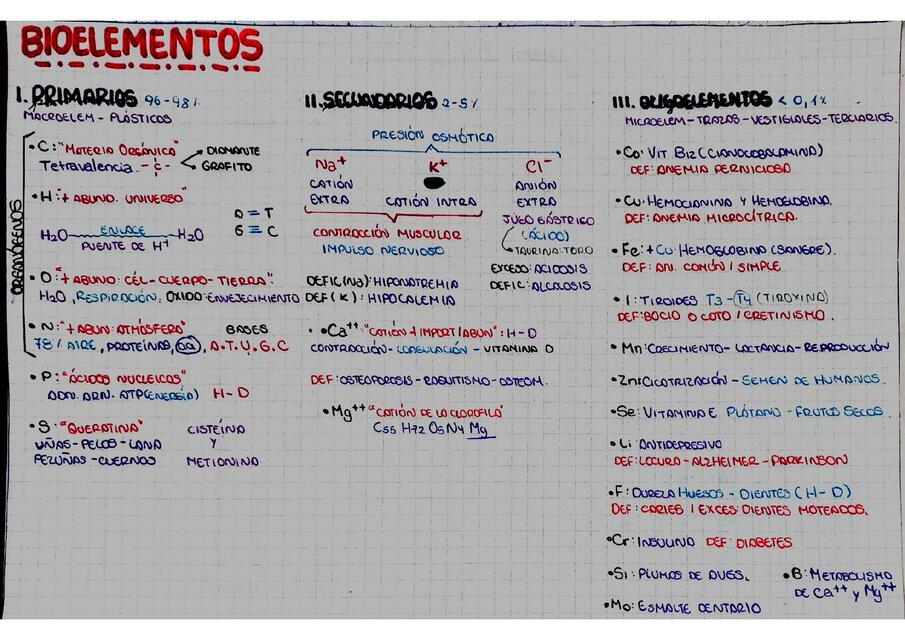 Bioelementos | Maricielo Siesquen | uDocz