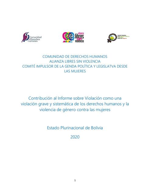 Contribución al Informe sobre Violación como una violación grave y sistemática de los derechos ...