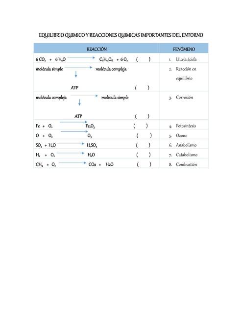 Equilibrio Químico Y Reacciones Químicas Importantes Del Entorno