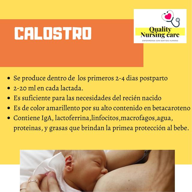 CALOSTRO | ANGGY FERREIRA MANTILLA | uDocz