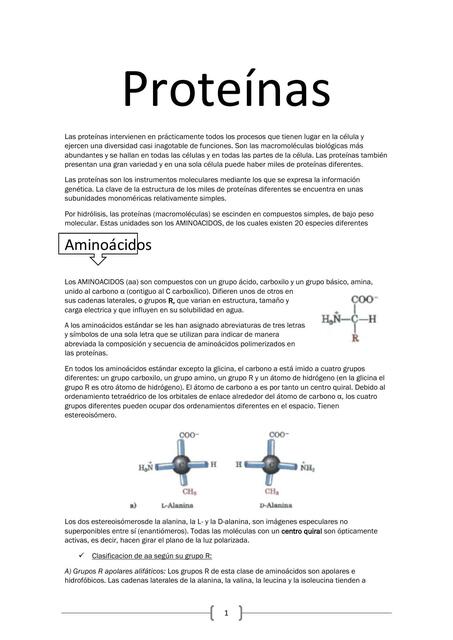 Proteínas | Constantina Bertino | uDocz