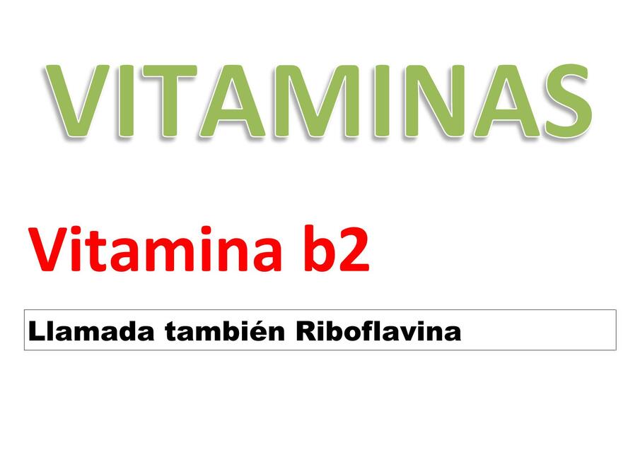 Vitaminas | sarahi miranda | uDocz