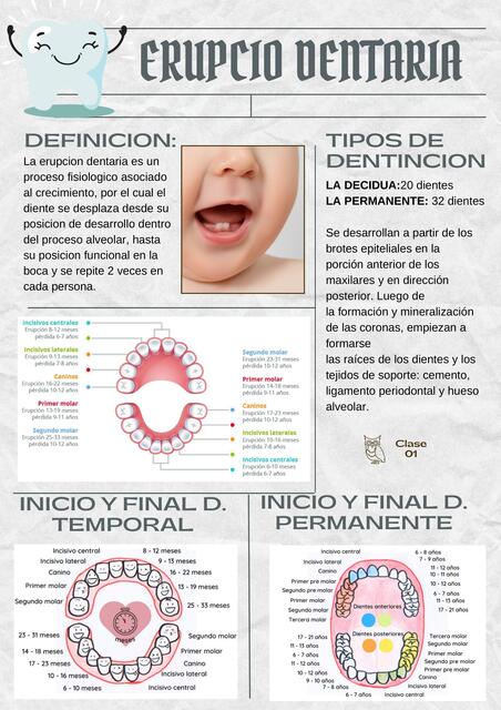 Erupción dental | Pamela Solano | uDocz