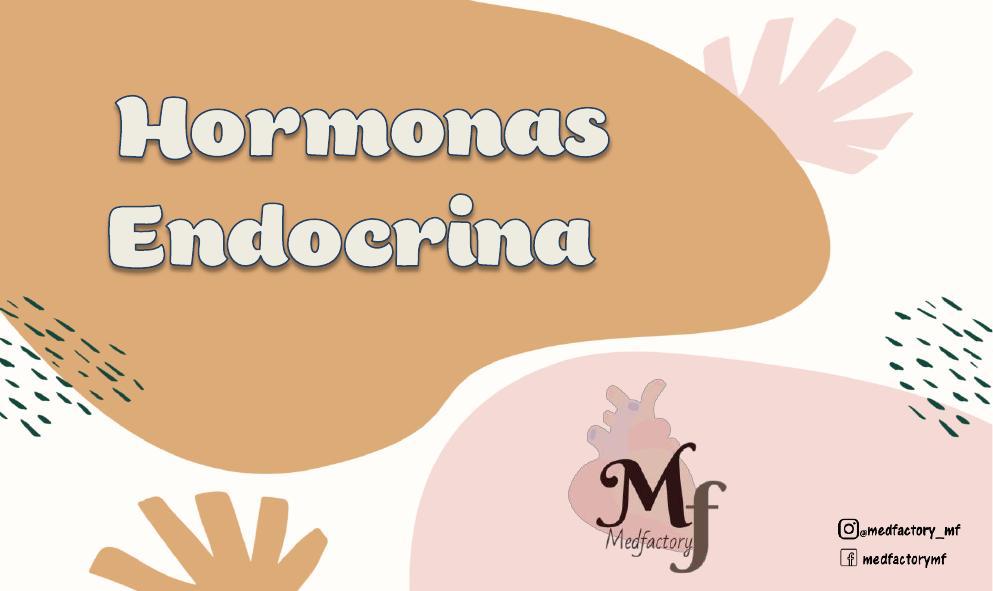flashcards hormonas endocrinas | Medfactory | uDocz