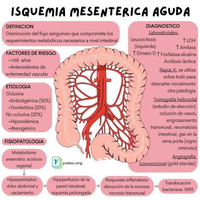 Isquemias Mesenterica Aguda | YUDOC.ORG | uDocz