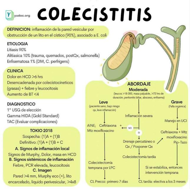 Colecistitis | YUDOC.ORG | uDocz