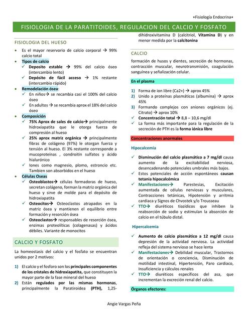 Fisiologia de paratiroides | uDocz