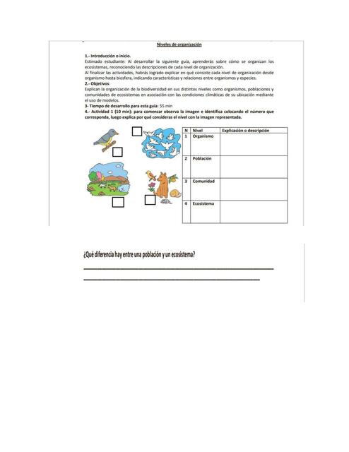 Niveles de Organización | Marisol Smith | uDocz