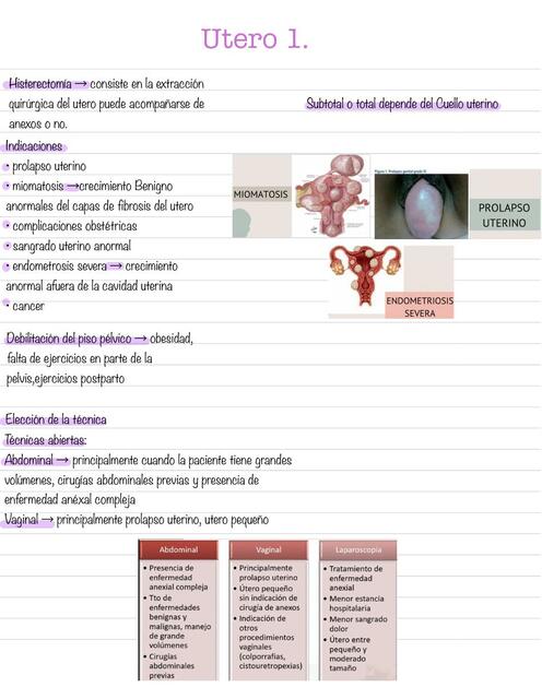 histerectomia abd | laurav98o | uDocz