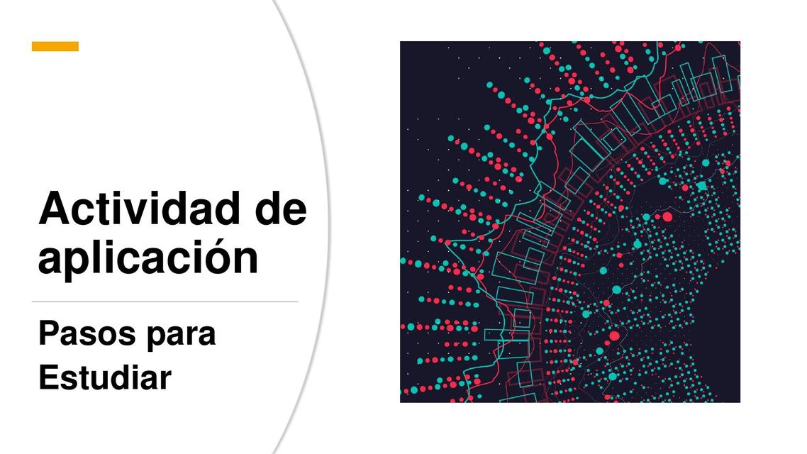 Actividad de aplicación de práctica | sofitaisdev | uDocz