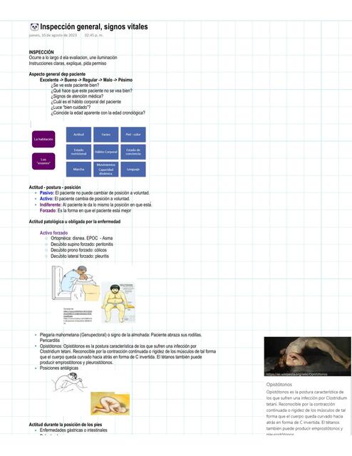 Acto Medico Inspección general signos vitales | ERIKA DANIELA MUÑOZ MARTINEZ | uDocz