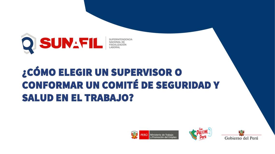 Cómo elegir un supervisor o conformar el CSST | Civil Zone | uDocz