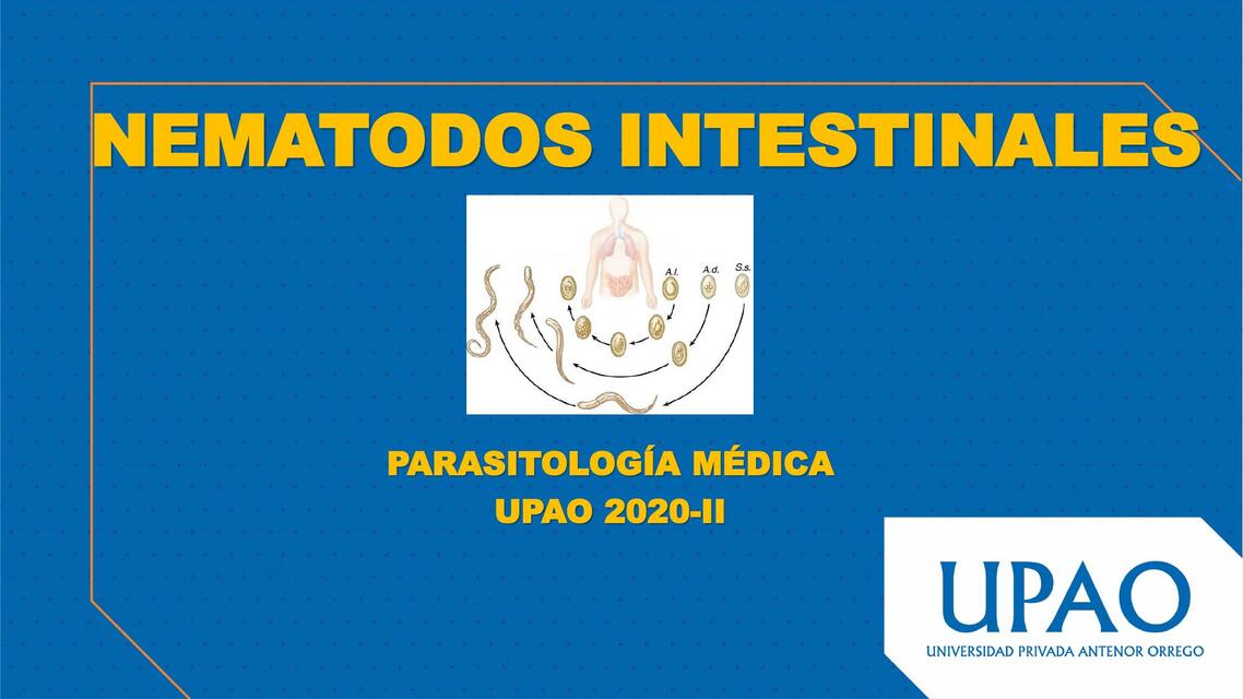 Nématodos Intestinales | Erwin Escobar Ordinola | uDocz