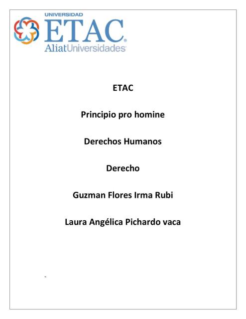 Derechos humanos principio pro homine | rubi | uDocz