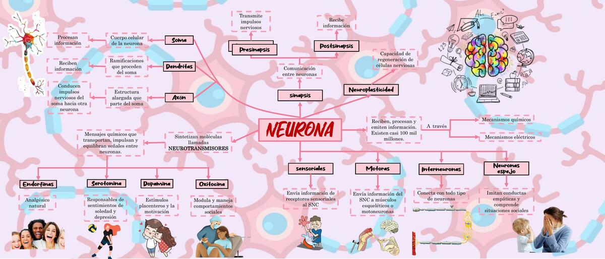 La Neurona | Alexandra Vasquez Estrada | uDocz