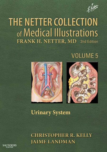 The Netter Collection of Medical Illustrations Uri | Esther Galeano | uDocz