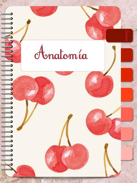 Generalidades de anatomia | Alexandra Roussell | uDocz