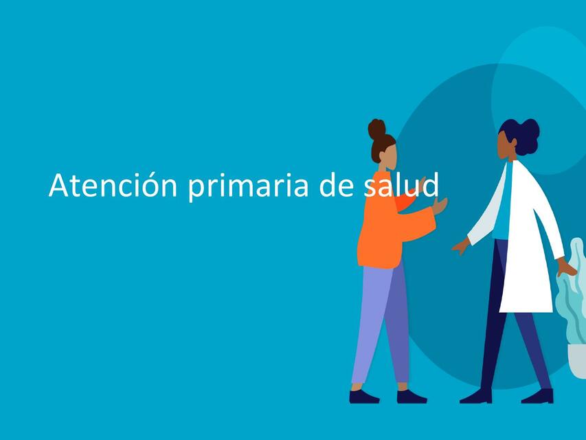 Atención primaria de salud | Itzel Diaz | uDocz