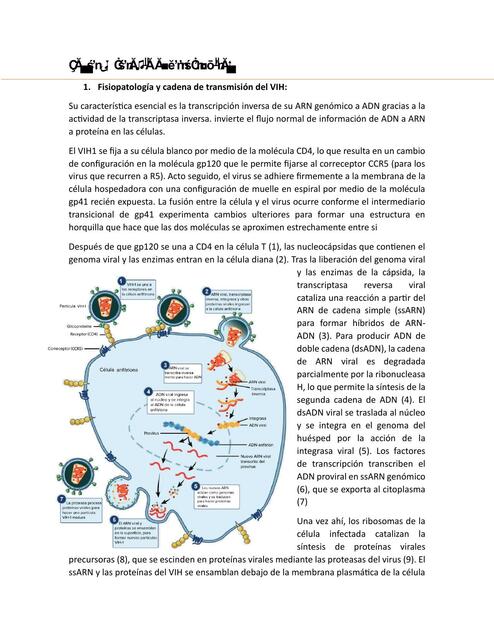 Fisiopatología y Cadena de Transmisión del VIH | sofia flores | uDocz